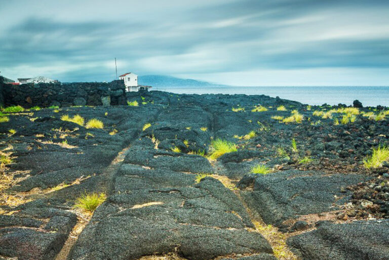 About Pico – Explore Pico