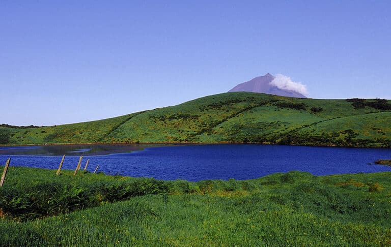 About Pico – Explore Pico