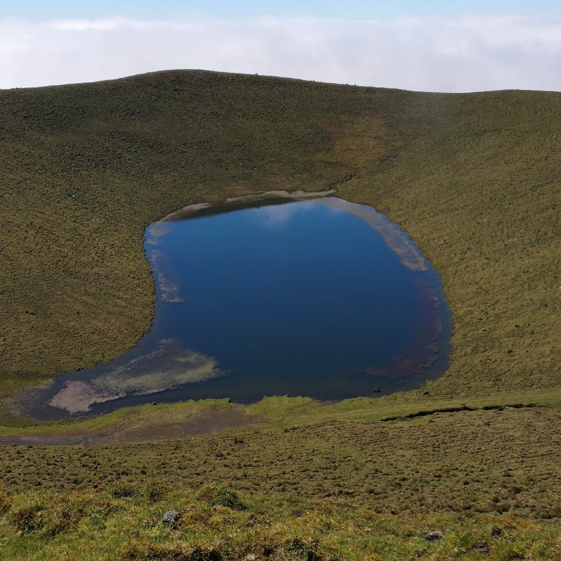 About Pico – Explore Pico