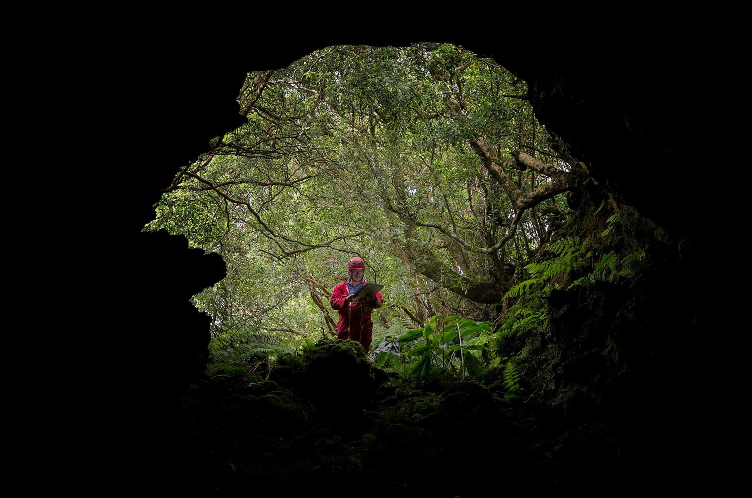About Pico – Explore Pico
