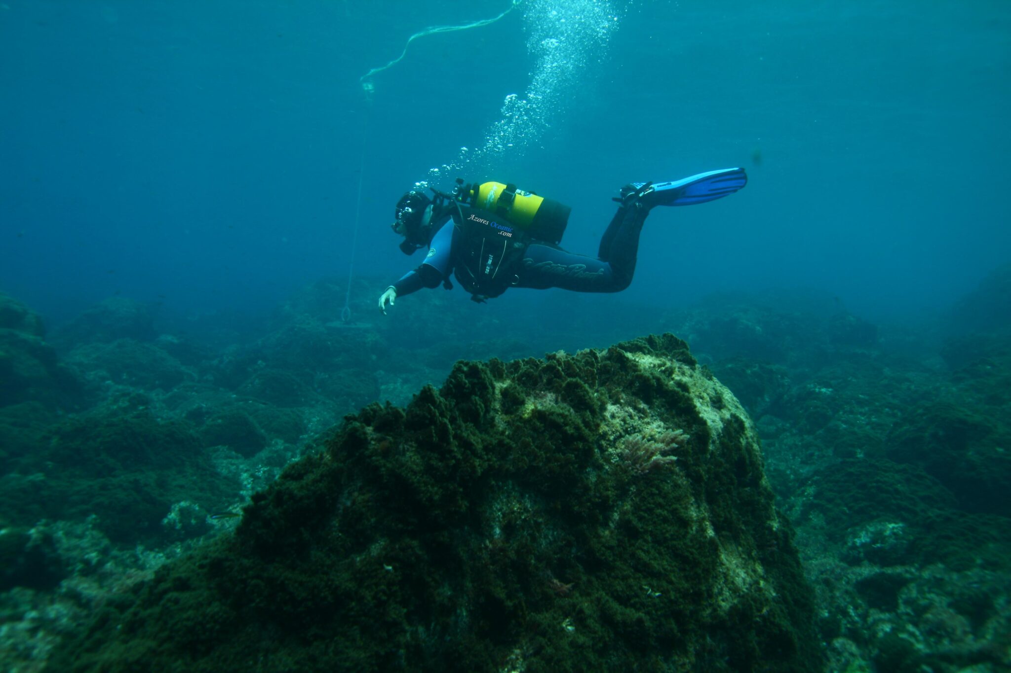 About Pico – Explore Pico